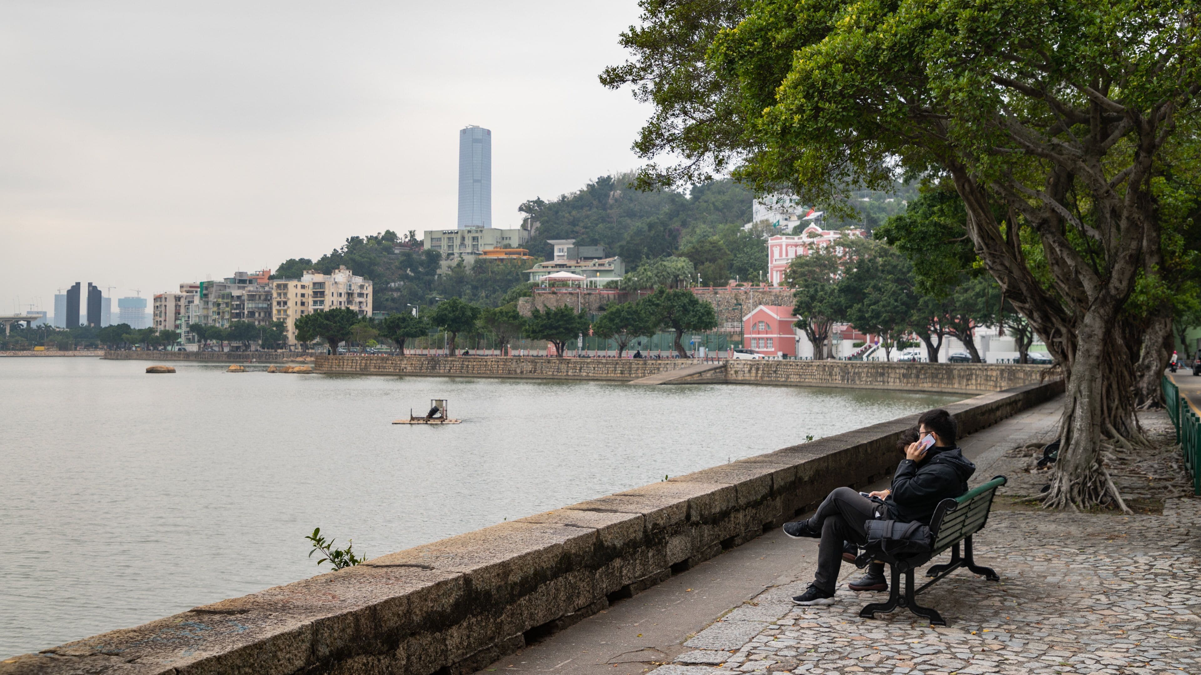 Avenida da República featuring a park and a river or creek as well as an individual male