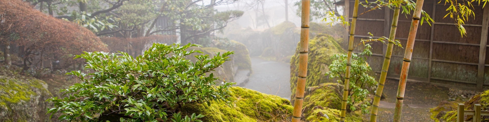 Hakone Museum of Art featuring a park and mist or fog
