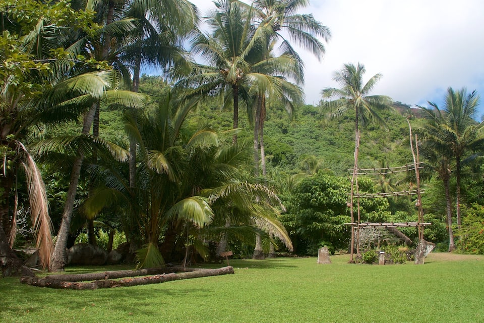 Uma paisagem tropical exuberante com palmeiras, uma estrutura de bambu e um campo gramado.