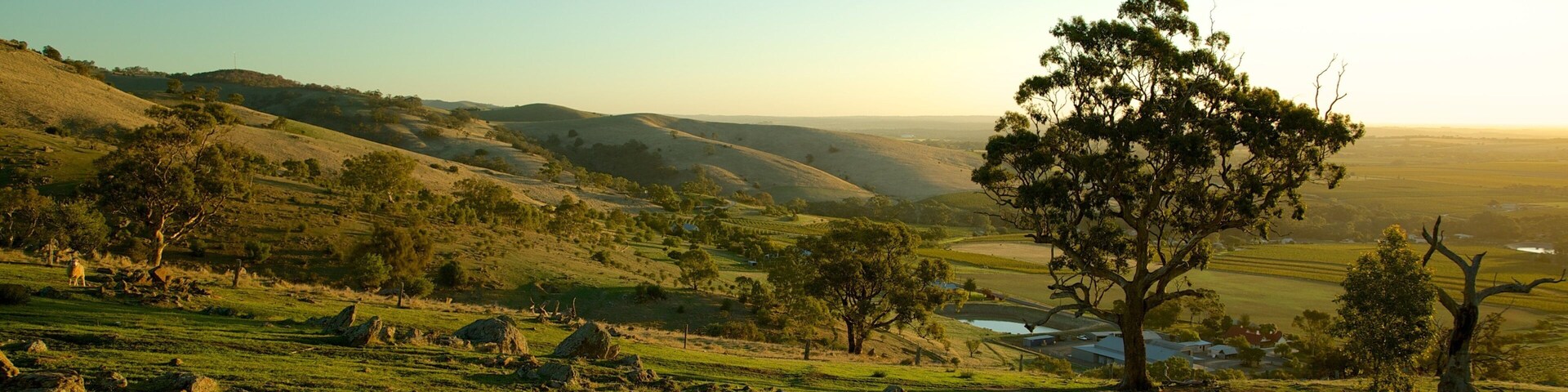 Barossa Valley caracterizando paisagem, cenas tranquilas e um pôr do sol