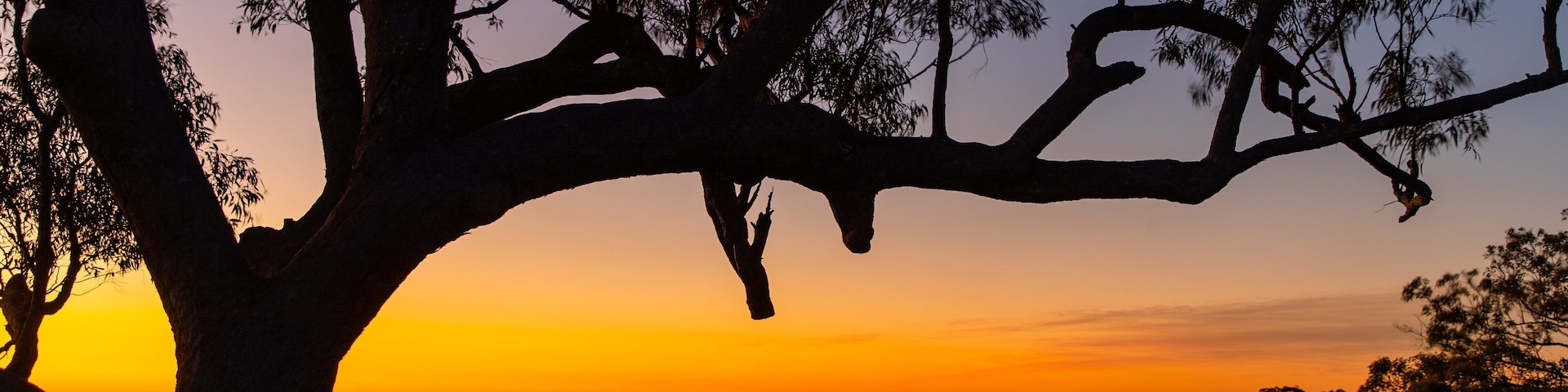 Mt Archer showing views and a sunset