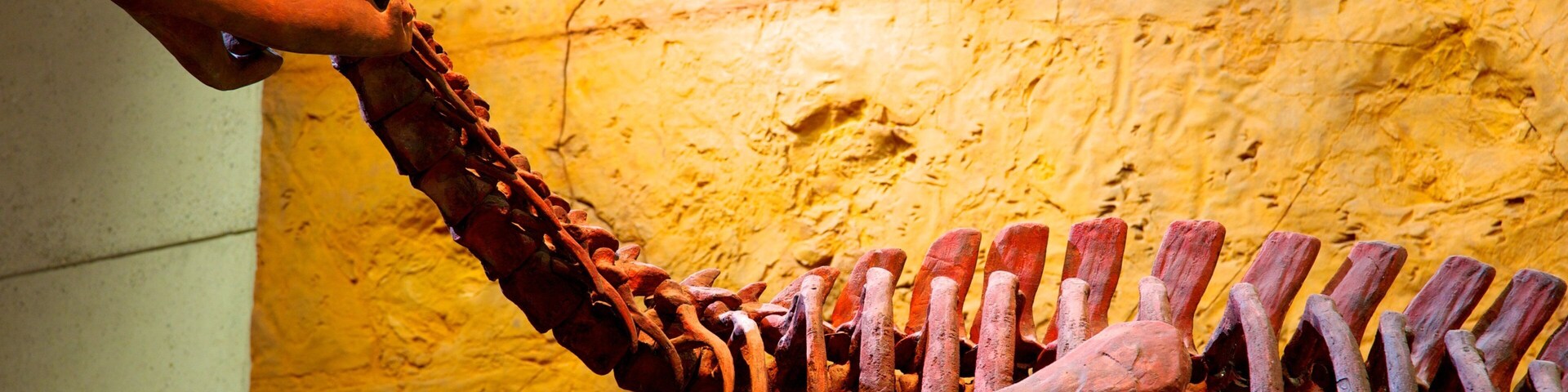 Brisbane featuring interior views