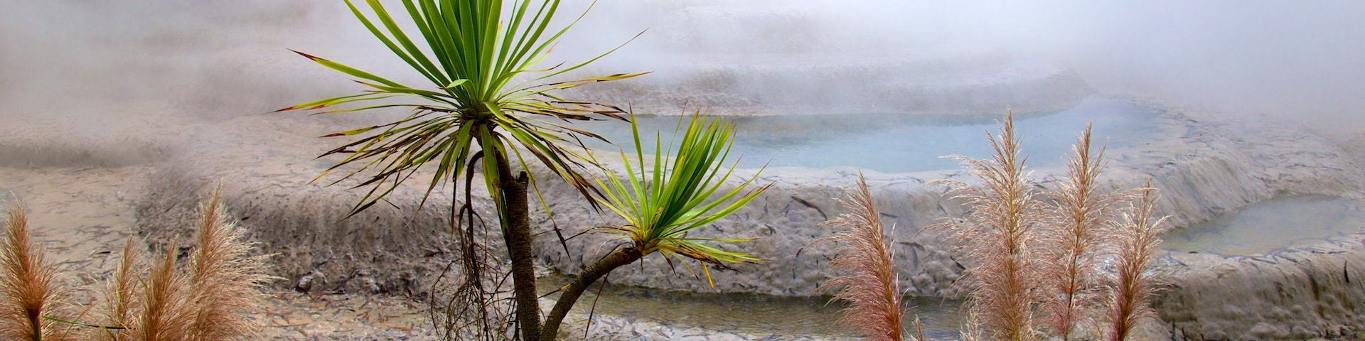 Wairakei featuring a hot spring