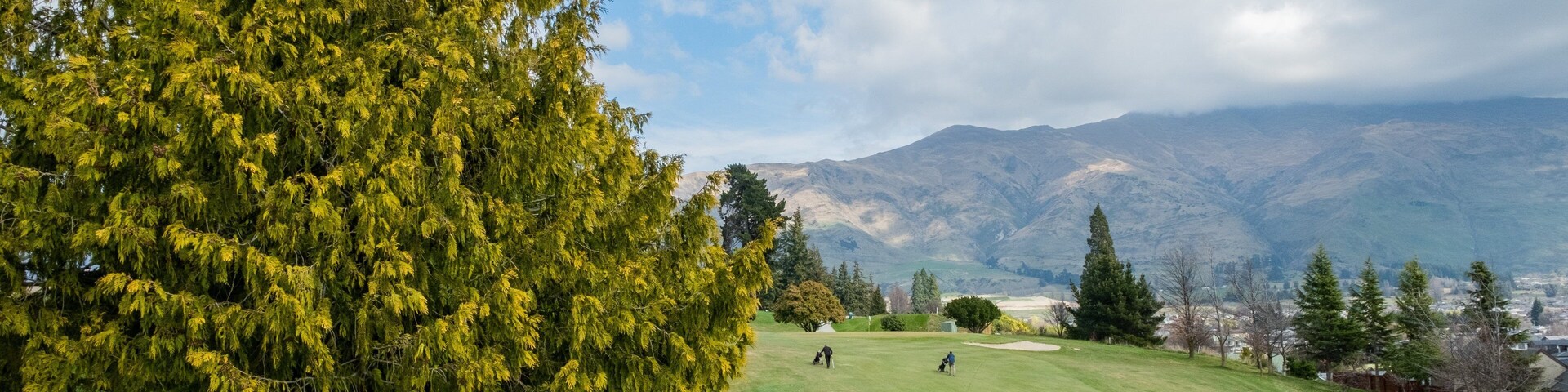 Um campo de golfe com uma árvore grande e montanhas ao fundo.