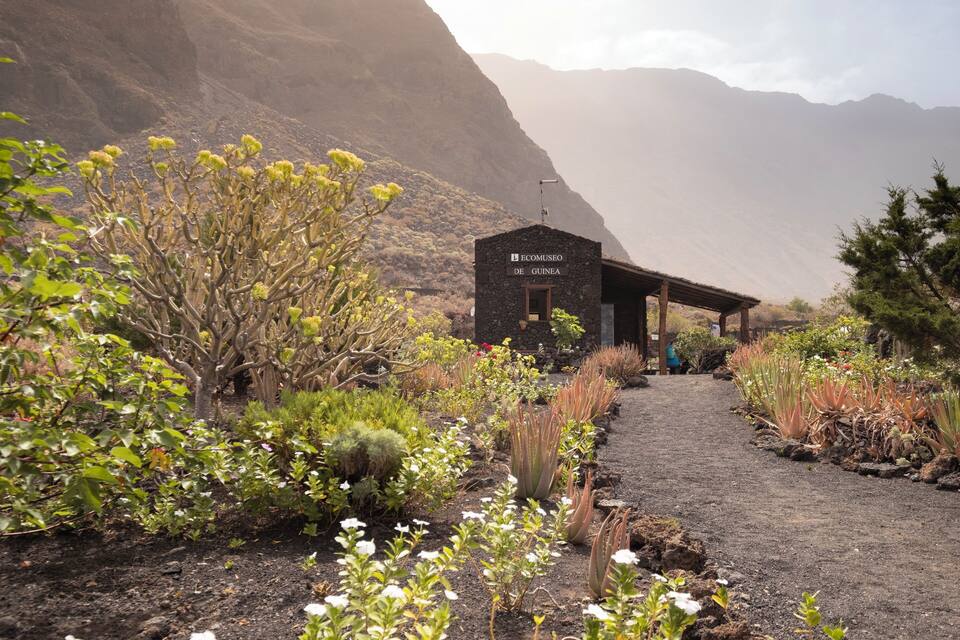 Uma trilha no jardim leva a um edifício com a inscrição 'ECOMUSEO DE GUINEA', com plantas do deserto e montanhas ao fundo.