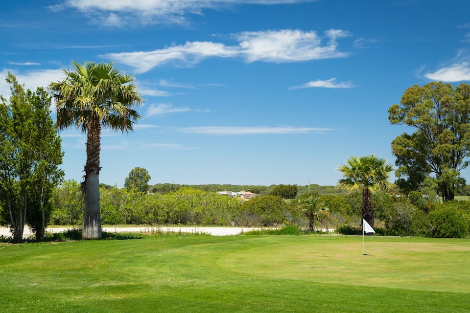 Um campo de golfe com céu claro, palmeiras e uma bandeira no green.