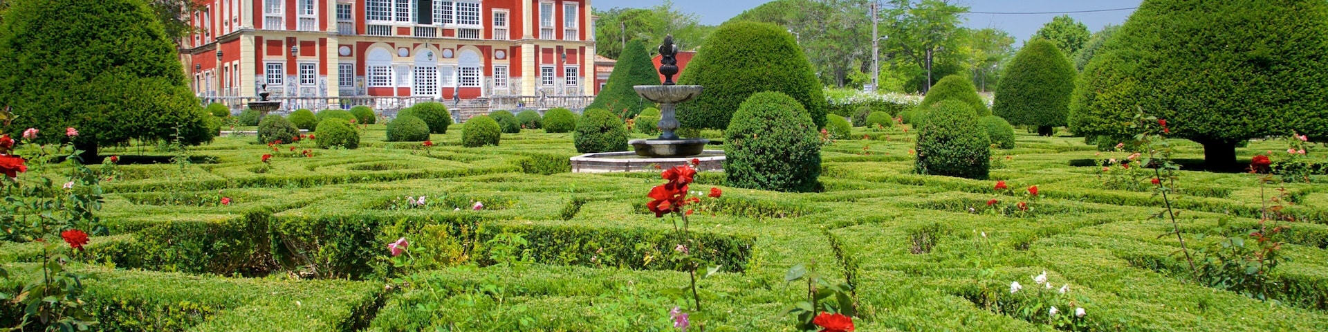 Palace of the Marquises showing wildflowers, heritage elements and a house