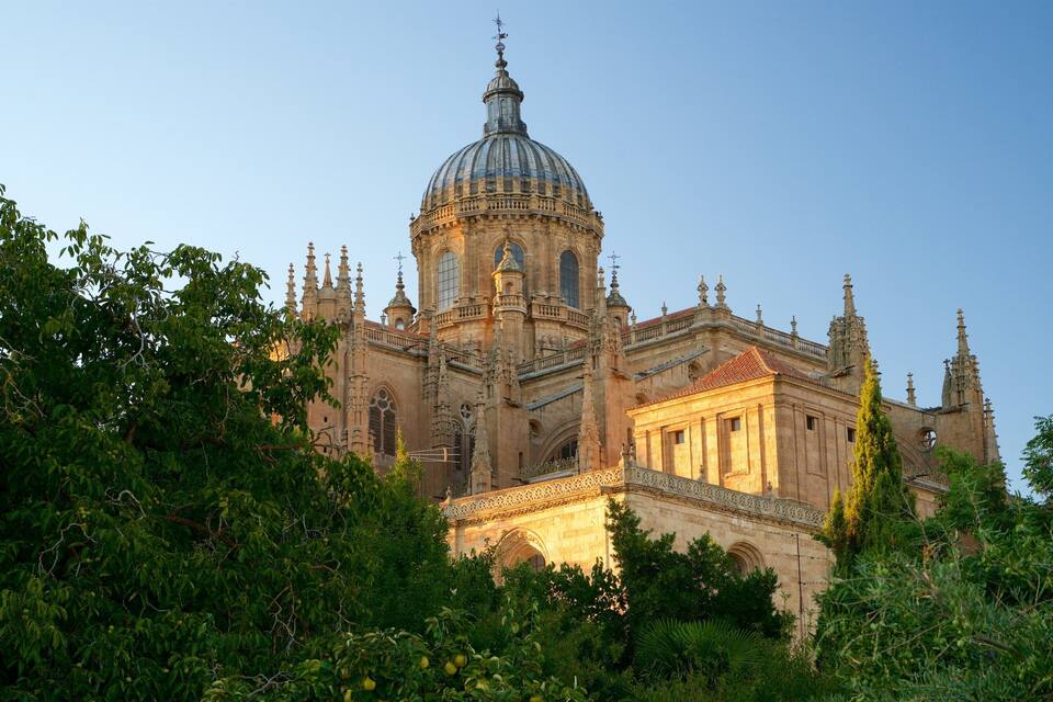 Uma catedral histórica com uma cúpula imponente e pináculos elaborados, rodeada por vegetação exuberante.