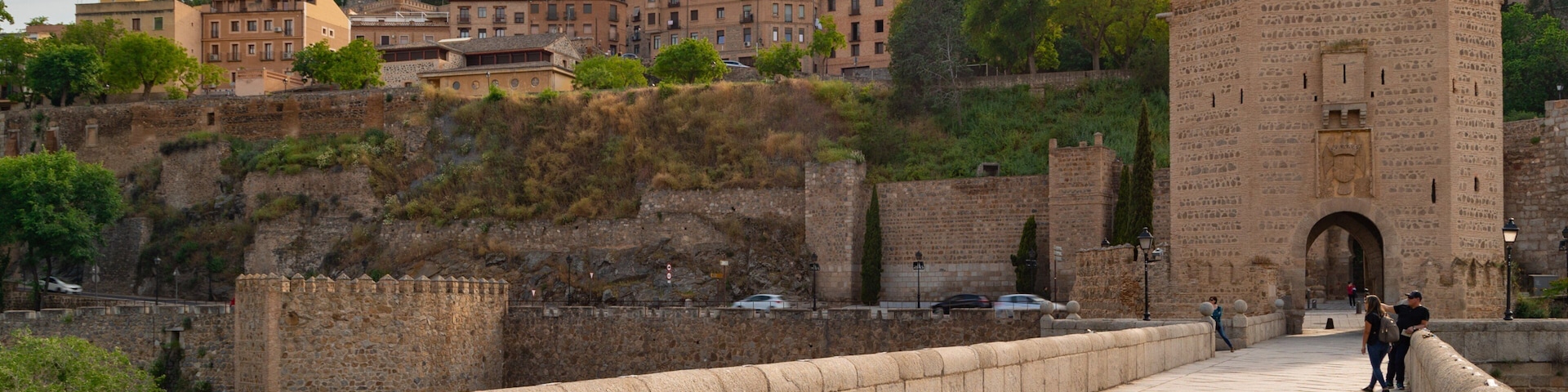 Puente de Alcantara showing a bridge and heritage elements