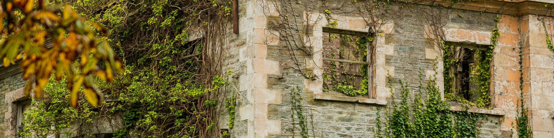 Boom Hall featuring heritage elements