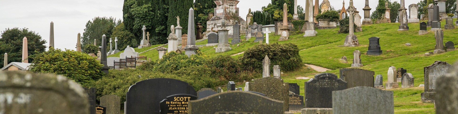 City Cemetery showing a cemetery