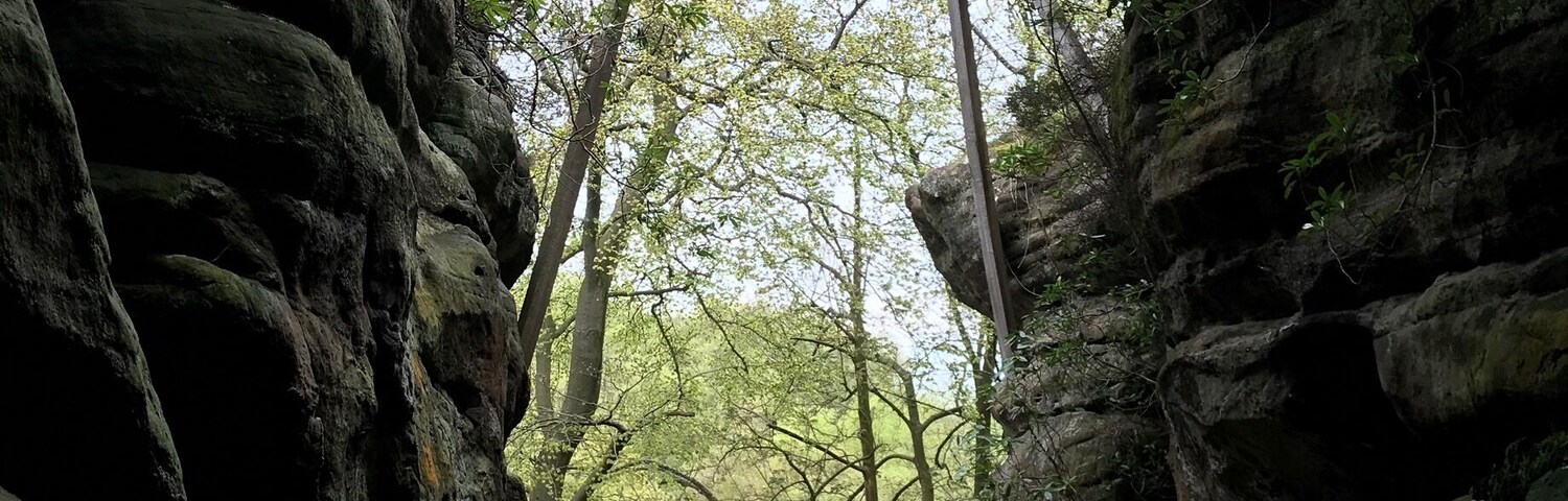 Swiss Bridge over The Cleft.
