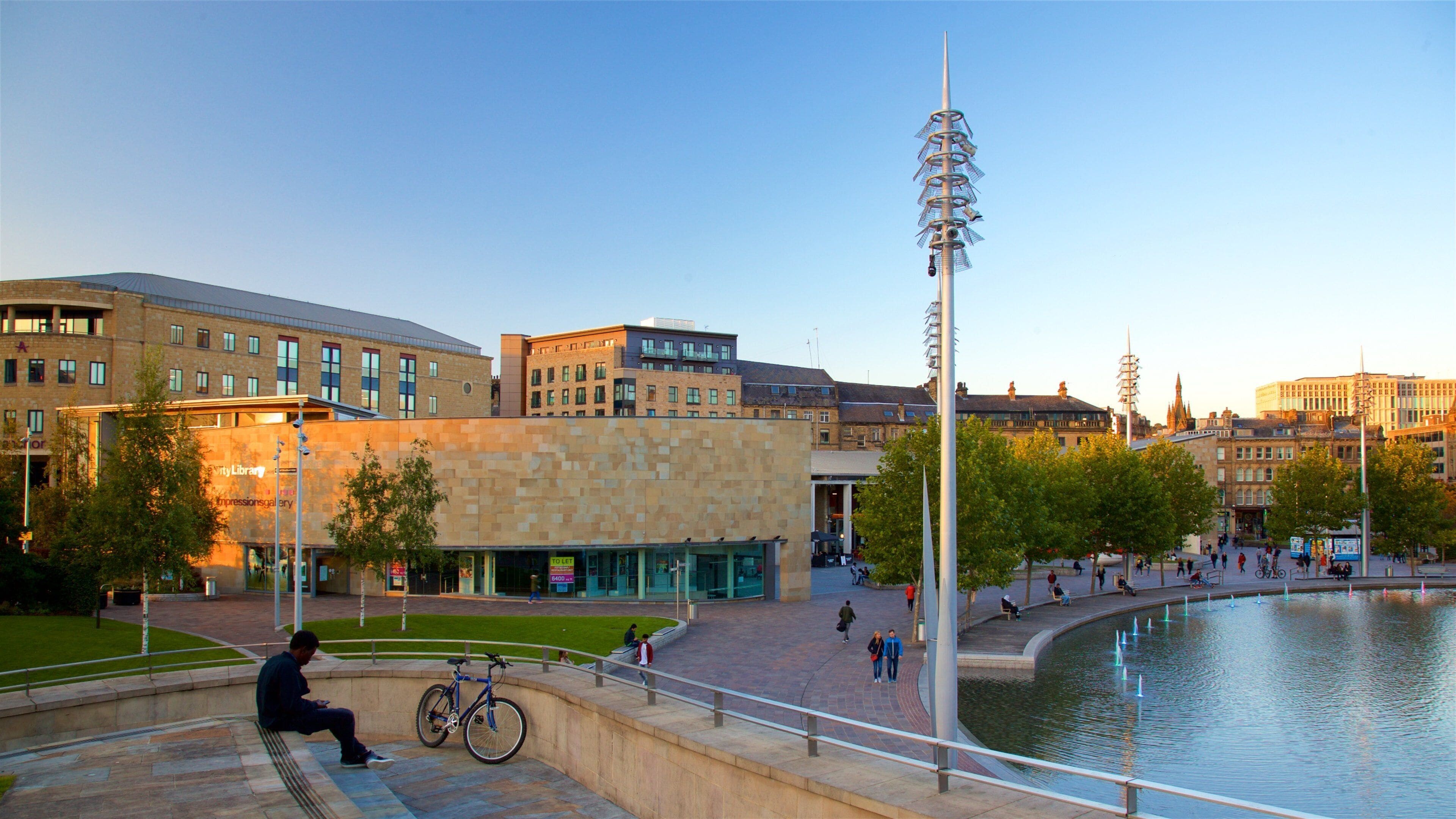 Bradford City Park which includes a pond as well as an individual male