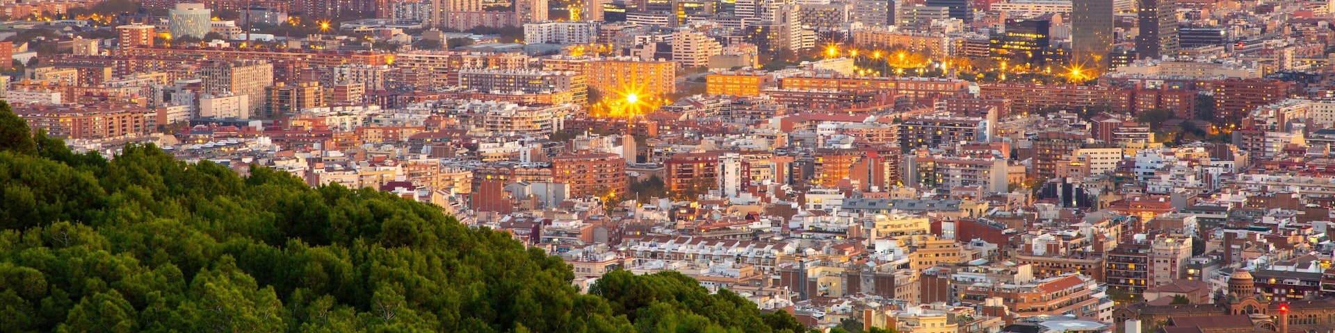 Turo de la Rovira which includes landscape views and a city