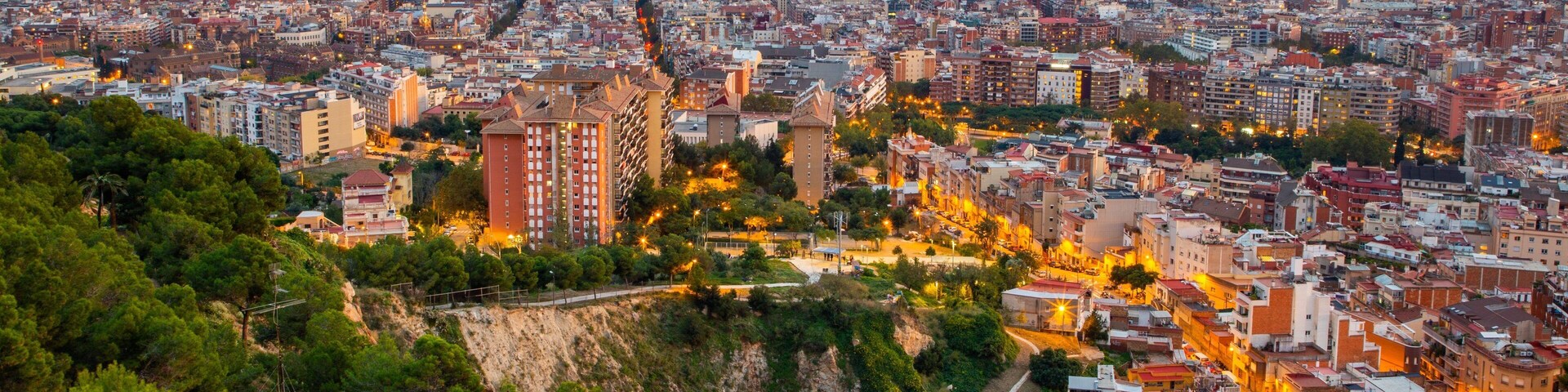 Turo de la Rovira featuring landscape views and a city