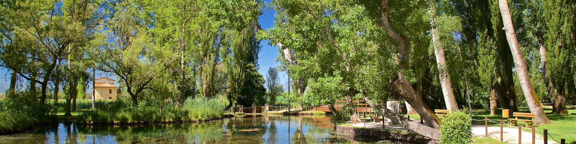 Fontes de Clitunno que inclui um jardim e um rio ou córrego