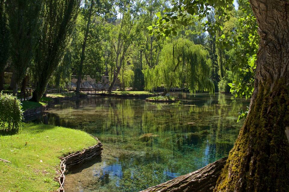 Um lago tranquilo rodeado por vegetação exuberante e árvores.