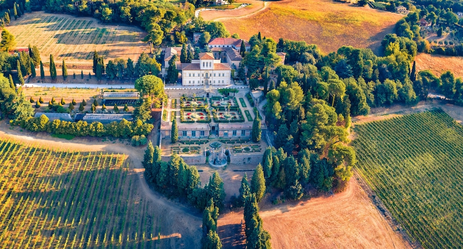 Vista aérea de uma grande propriedade com extensas vinhas, um jardim formal e uma imponente mansão.