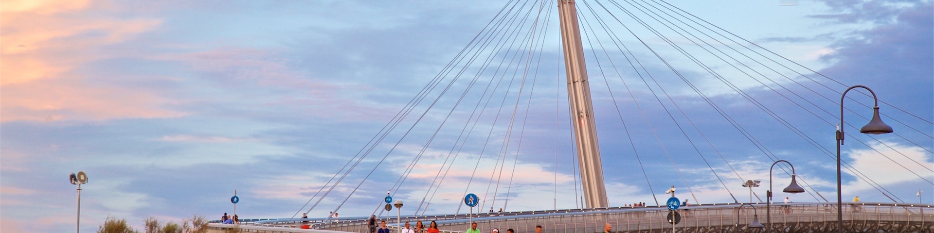 Uma ponte para pedestres com estrutura suspensa por cabos, com vista para um corpo d'água e barcos.