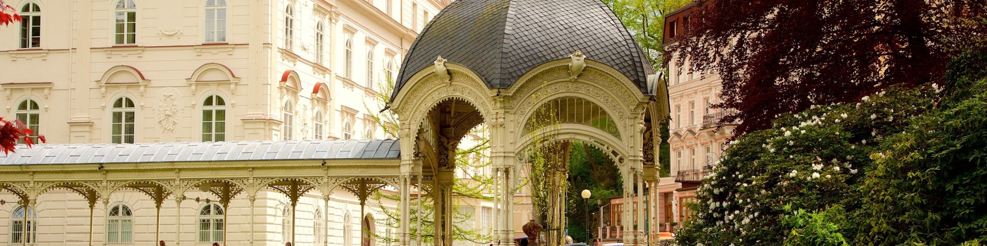 Karlovy Vary mostrando elementos de patrimônio, arquitetura de patrimônio e um parque
