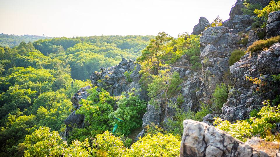 Paisagem montanhosa com florestas verdes densas e falésias rochosas.