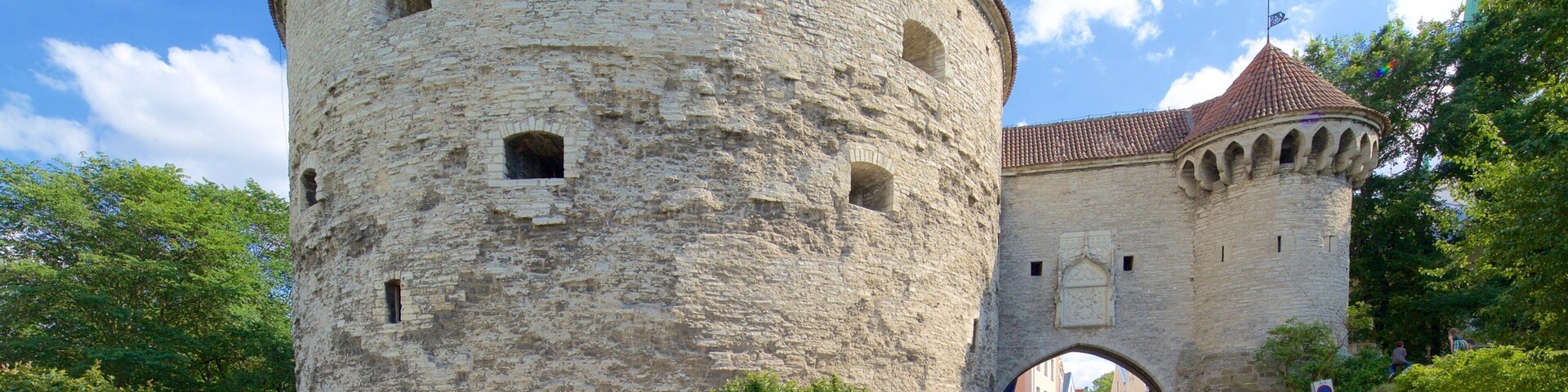 Tallinn featuring heritage elements