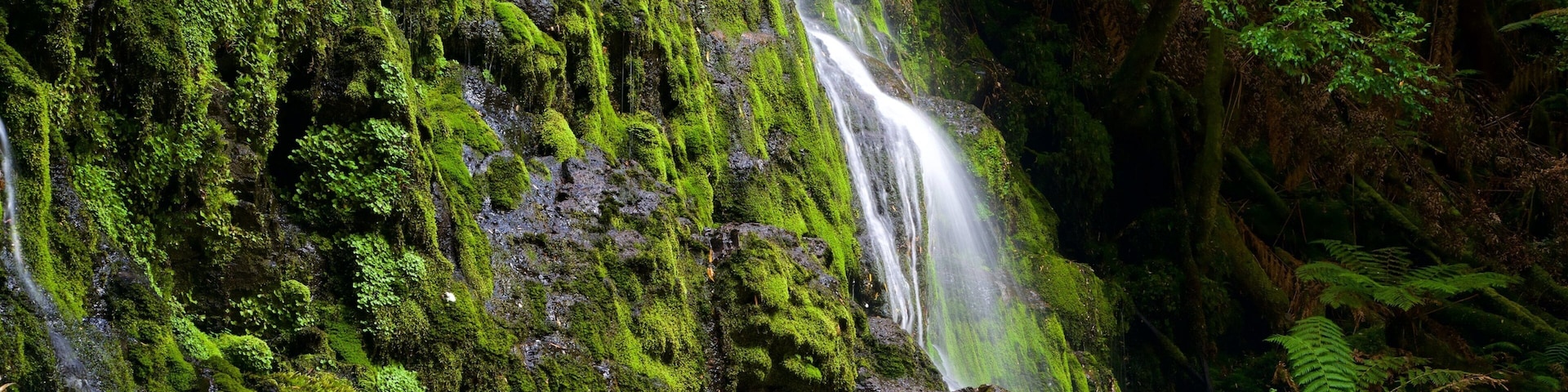 Nelson Falls featuring a waterfall