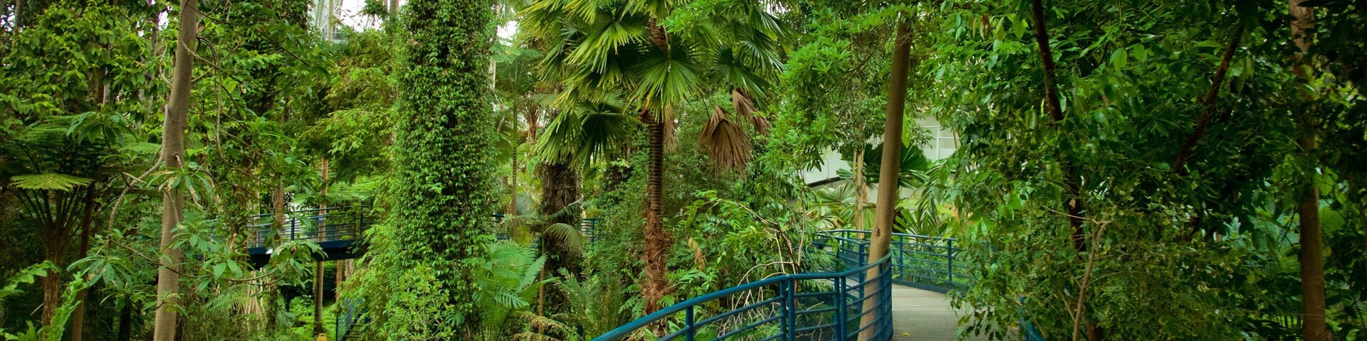 Bicentennial Conservatory featuring interior views and a garden