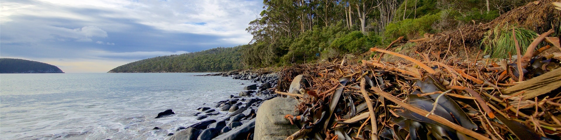 Tasman Peninsula which includes a pebble beach, general coastal views and a bay or harbor