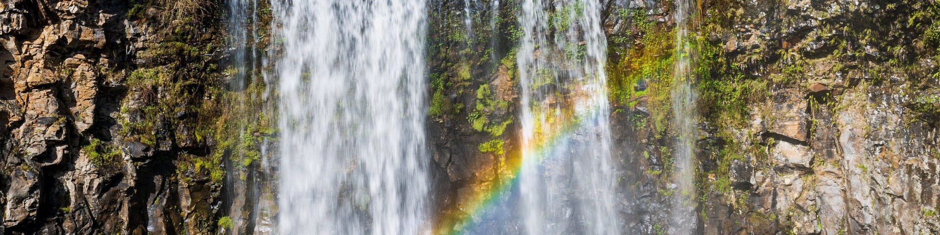 Dangar Falls showing a lake or waterhole and a cascade