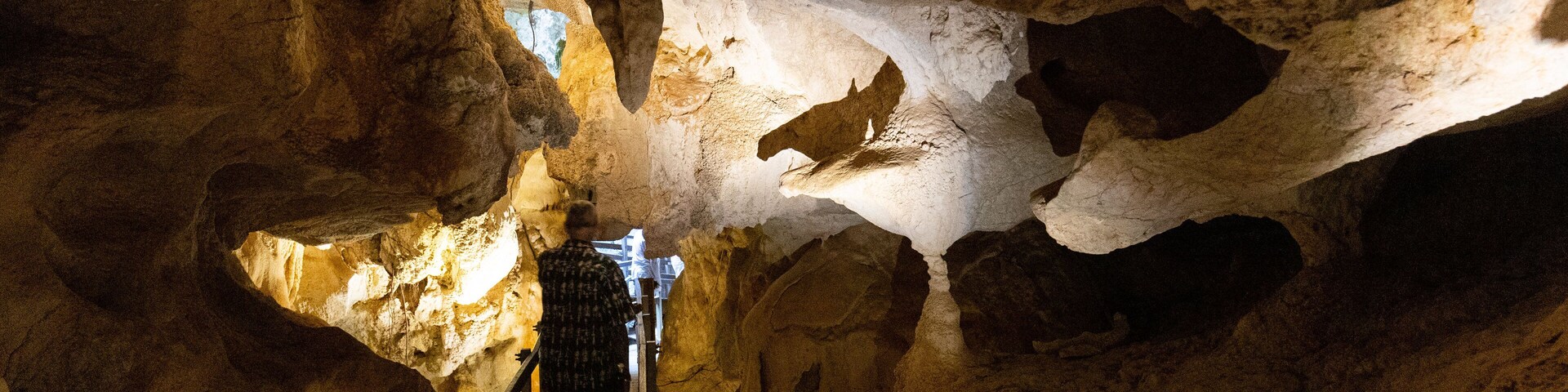 Capricorn Caves showing caving and caves