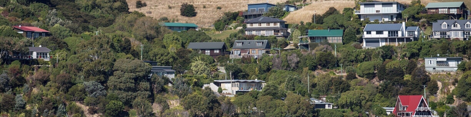 Road tripping along the harbors of the Banks Peninsula are a must do!
