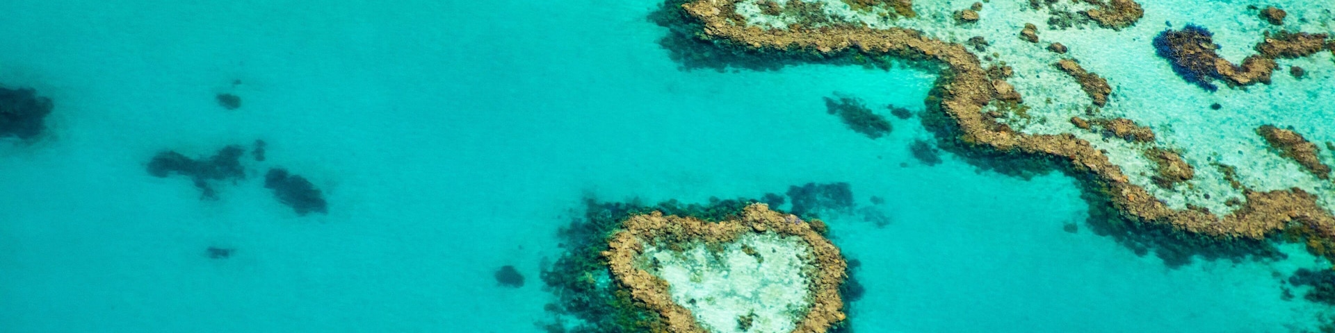 Heart Reef which includes general coastal views and colorful reefs