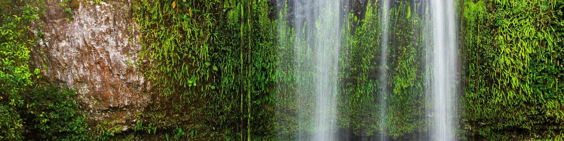 Millaa Millaa Falls showing a cascade