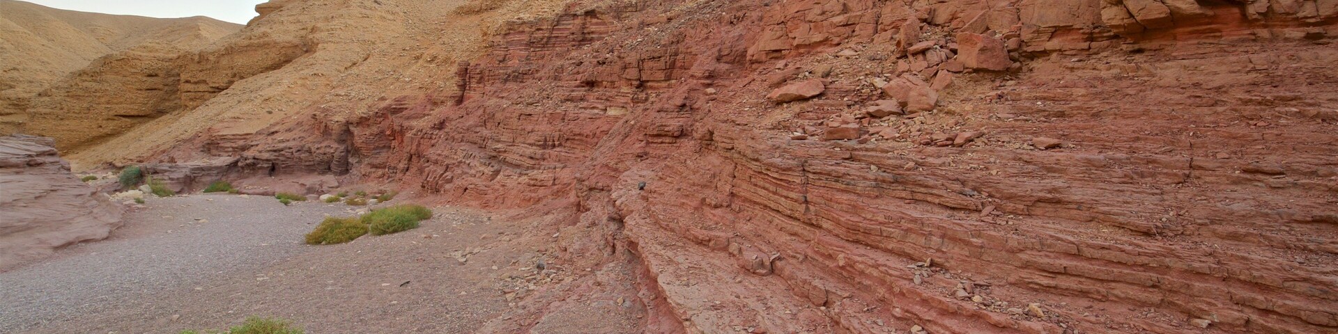 Cânion Vermelho mostrando paisagens do deserto