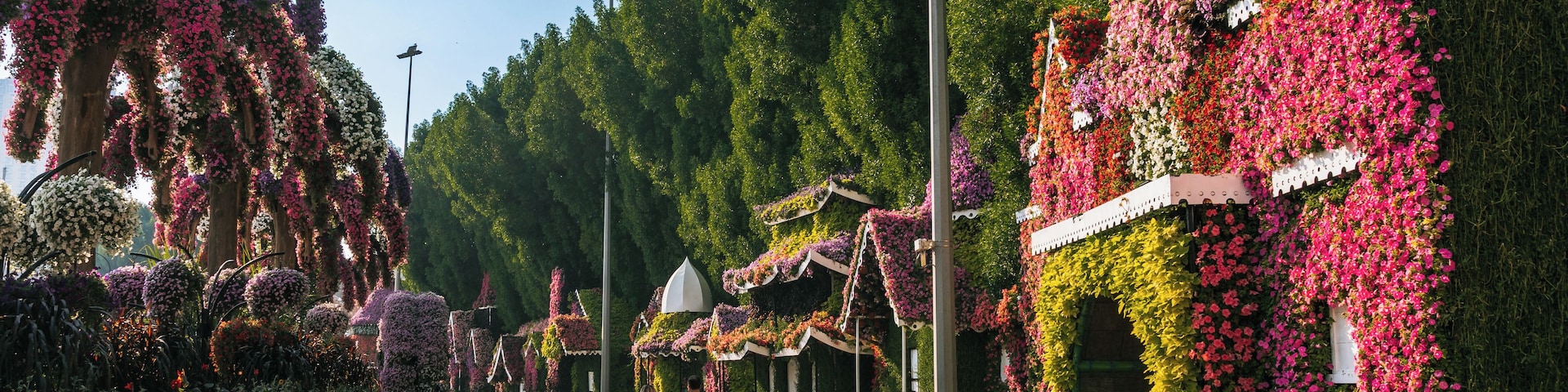 Um jardim com arranjos florais e um caminho.