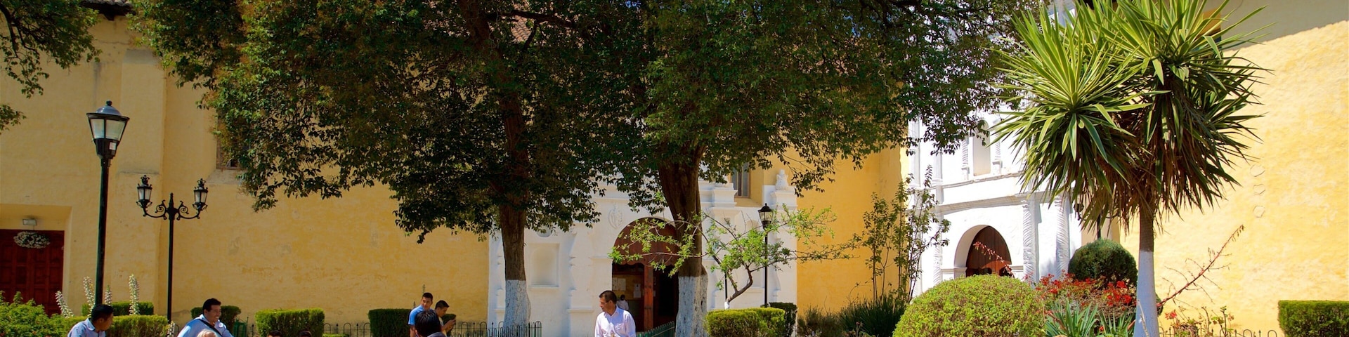 Templo del Carmen which includes heritage elements, wildflowers and a park