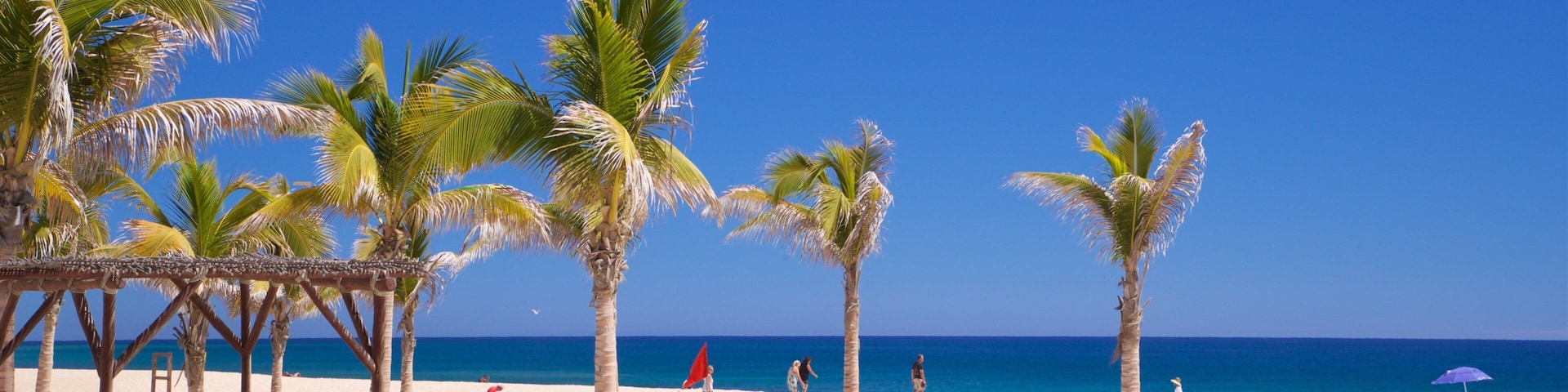 Playa Hotelera featuring tropical scenes, general coastal views and a beach