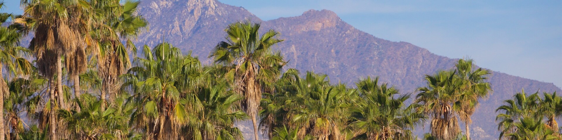 San Jose\'s Estuary and Bird Sanctuary which includes landscape views, mountains and tropical scenes