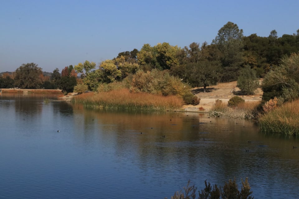 Um lago calmo rodeado por árvores e arbustos.
