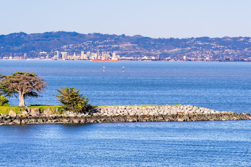 Paisagem costeira com um molhe rochoso, duas árvores destacadas e o horizonte urbano ao longe.