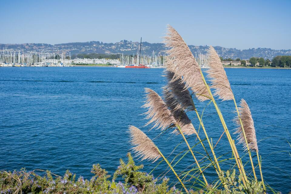 Uma marina com veleiros, um barco vermelho e uma paisagem urbana ao longe.