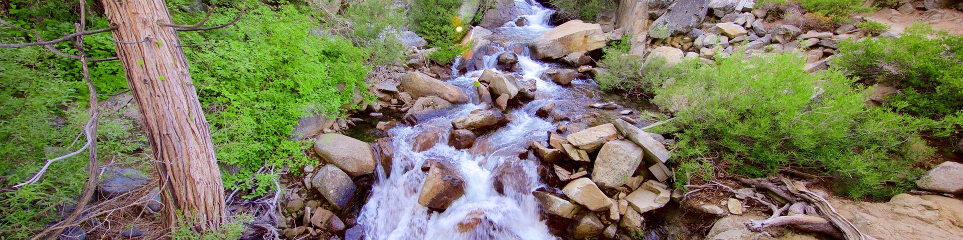 South Lake Tahoe caracterizando florestas e córrego