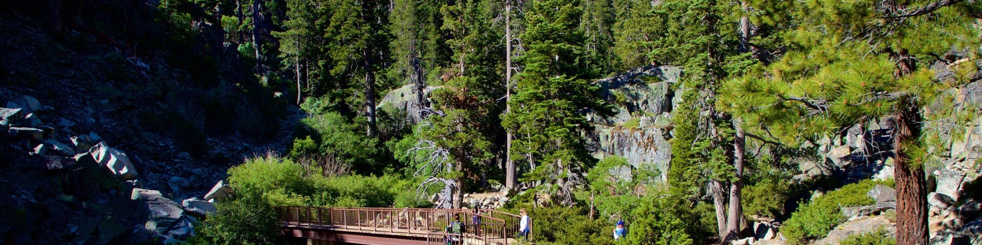 South Lake Tahoe which includes hiking or walking, a bridge and forests
