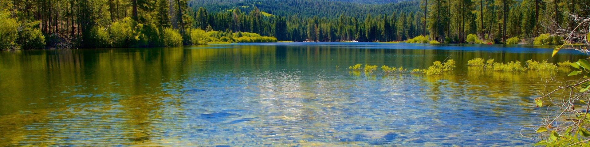 Mill Creek