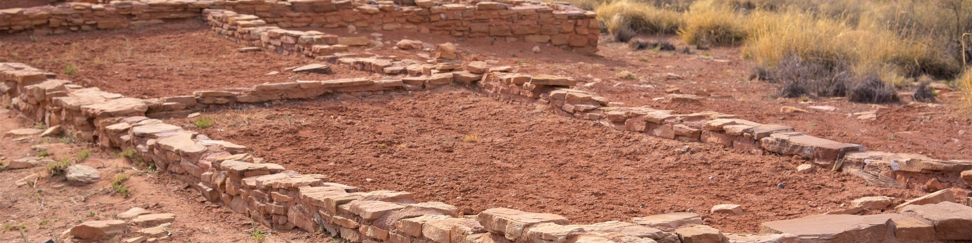 Petrified Forest National Park showing desert views, a ruin and tranquil scenes