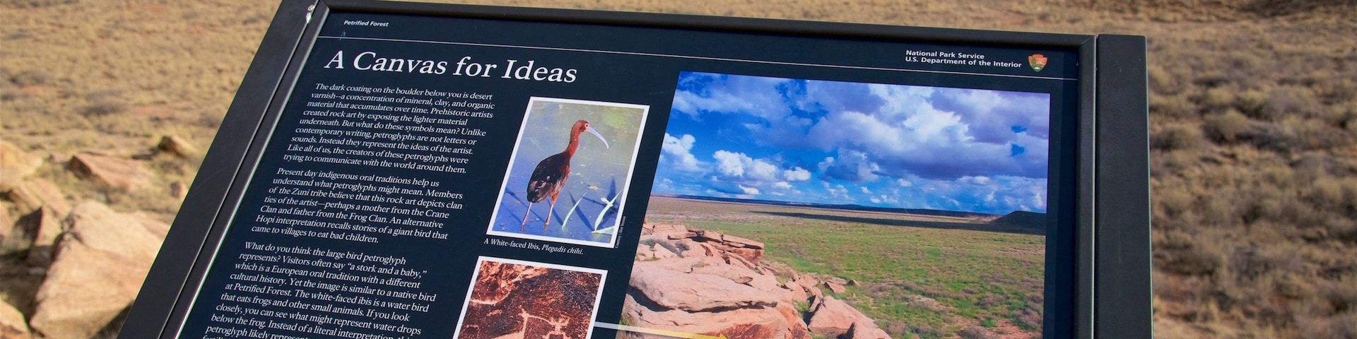 Petrified Forest National Park featuring tranquil scenes, desert views and signage