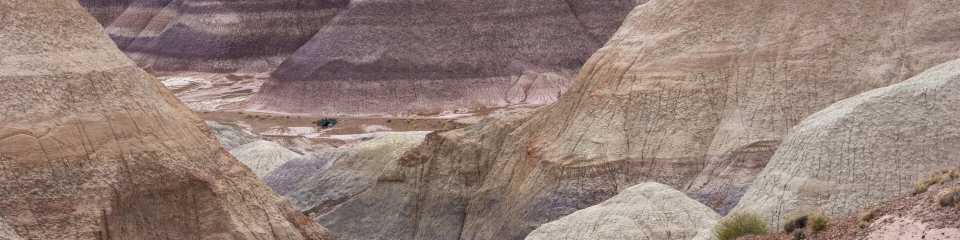 Petrified Forest National Park que inclui paisagens do deserto e cenas tranquilas