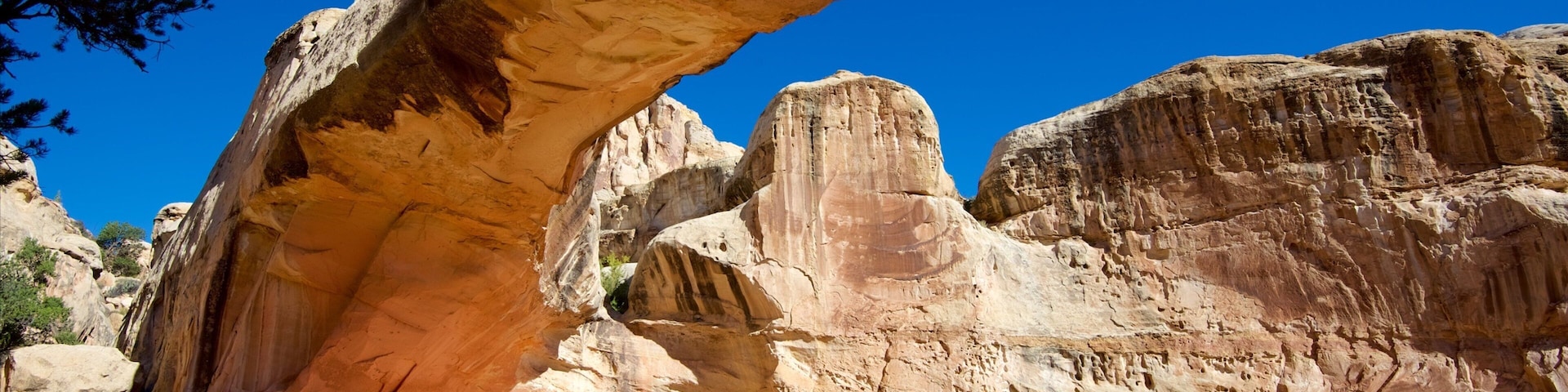 Capitol Reef National Park mostrando um desfiladeiro ou canyon, cenas tranquilas e paisagens do deserto
