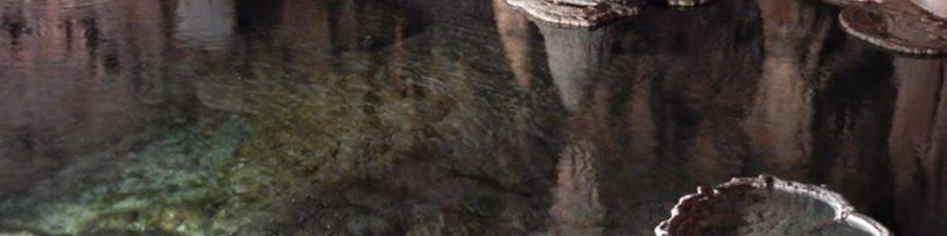Lily Pad room in Onondaga Caves in Missouri.  This is a beautiful room.  If you enjoy spelunking, come here.